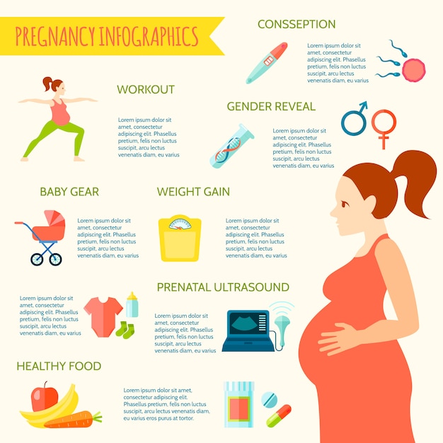 Comprehensive Pregnancy Infographic with Useful Details | Jiffy Designs