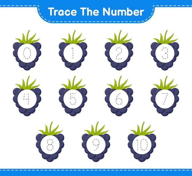 Adorable Blackberry Collection: Tracing Numbers for Early Learning ...