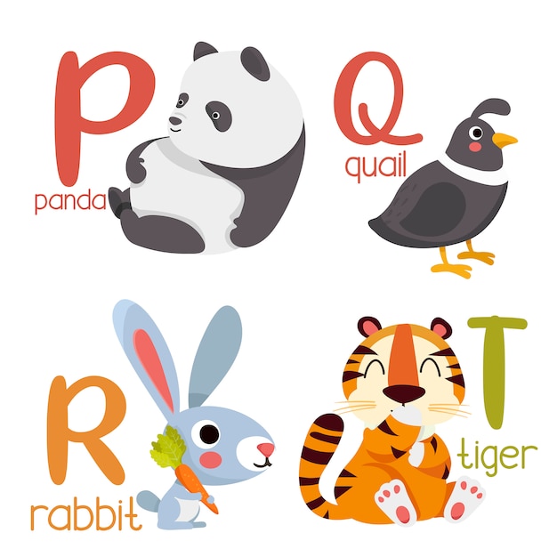 Playful Animal Alphabet with Panda, Quail, Rabbit, and Tiger | Jiffy ...