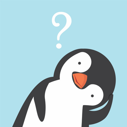 Cute Head Funny Penguin Cartoon Confuse | Jiffy Designs
