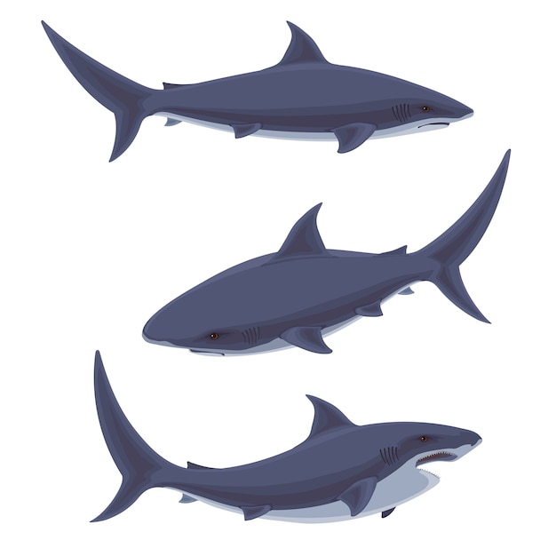 Diverse Collection of Stylized Shark Silhouettes | Jiffy Designs
