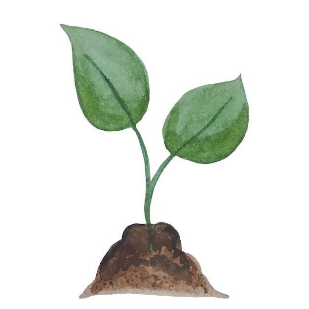 Watercolor Illustration of Sprouting Plant with Green Leaves | Jiffy ...