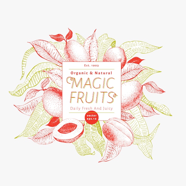 Vibrant Organic and Natural Magic Fruits Illustration | Jiffy Designs