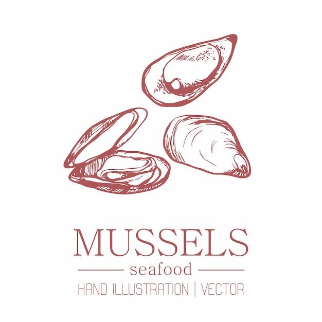 Delectable Morsels: A Vibrant Illustration of Succulent Mussels | Jiffy ...