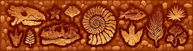 Captivating Fossil Imprints: A Journey Through Prehistoric Wonders ...