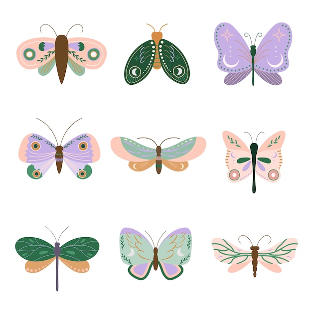 Vibrant Butterfly Menagerie: A Whimsical Celebration of Nature's Winged ...