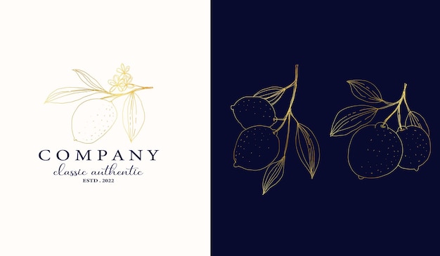 Elegant Citrus Blossom and Fruit Emblem on Dark Background | Jiffy Designs