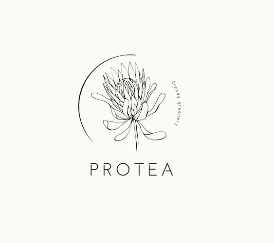 Protea Logo And Flowers. Hand Drawn Wedding Herb, Plant And Monogram ...