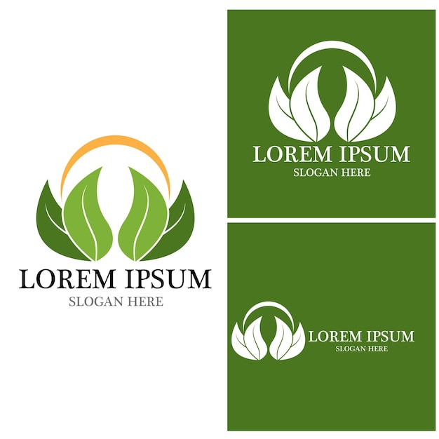 Vibrant Nature-Inspired Logo Collection with Leaf Motifs | Jiffy Designs