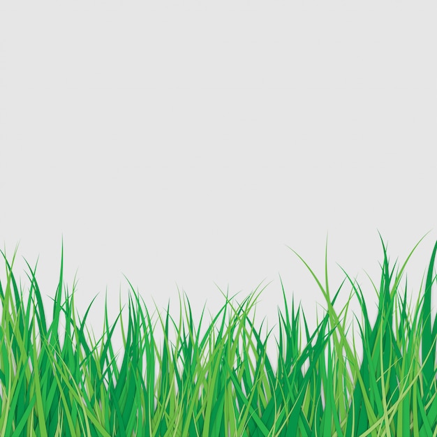 Vibrant Green Grass Blades Stretch Across the Frame | Jiffy Designs