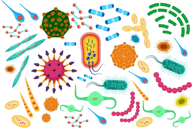 Vibrant Collection of Whimsical Microorganism Illustrations | Jiffy Designs