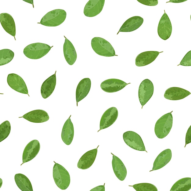 Scattered Green Leaves on White Background Pattern | Jiffy Designs