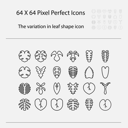 The Variation Of Leaf Shape Icon. Variation Of Leaves Vector Outline ...