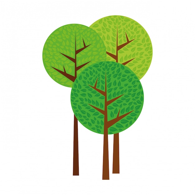 Vibrant Green Trees with Striking Branches | Jiffy Designs