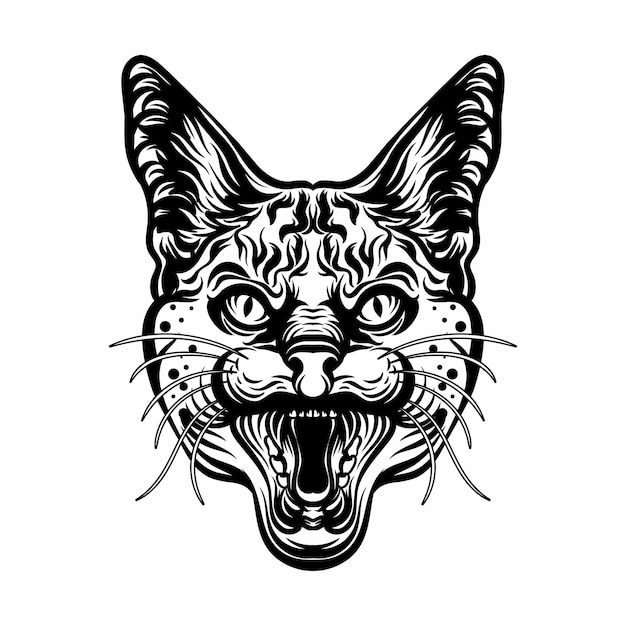 Fierce and Fearsome Feline Face: Striking Black and White Cat ...