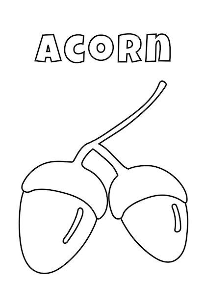 Minimalist Illustration of a Whimsical Acorn | Jiffy Designs