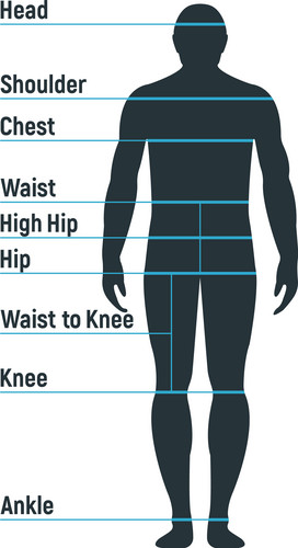 Male Size Chart Anatomy Human Character, People Dummy Front And View ...