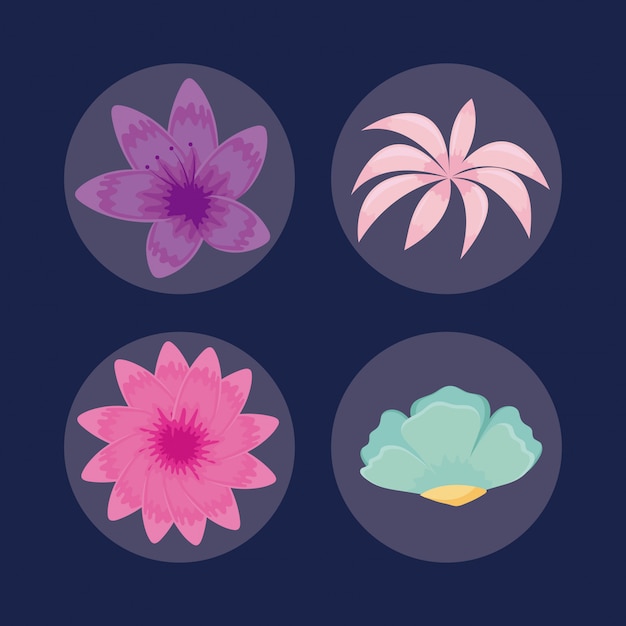 Vibrant Floral Symbols for Versatile Design Needs | Jiffy Designs