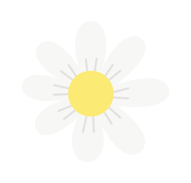 Minimalist Daisy Flower Illustration with Yellow Center | Jiffy Designs