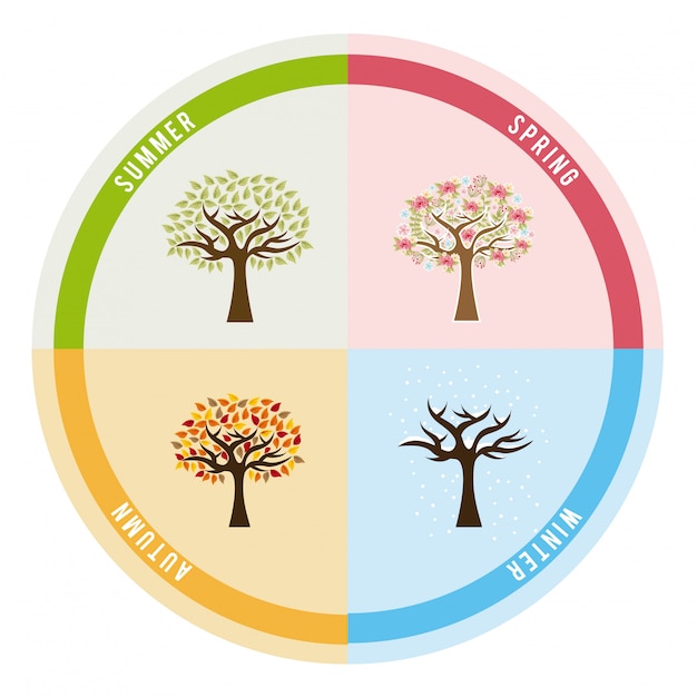 Circular Seasons Tree Illustration with Colorful Segments | Jiffy Designs
