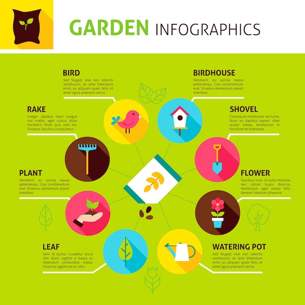 Vibrant Garden Infographic with Illustrated Nature Elements | Jiffy Designs