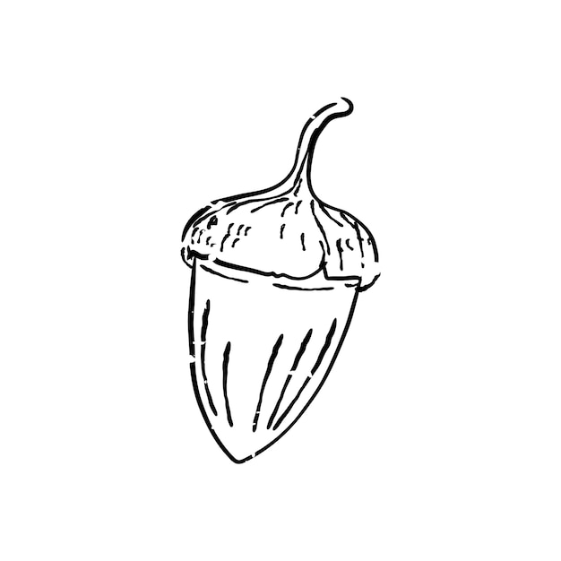 Hand-drawn Sketch of a Stylized Acorn Illustration | Jiffy Designs