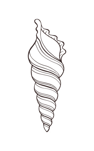 Hand Drawn Sea Shell. Vector Illustration. Shellfish Outline Isolated ...