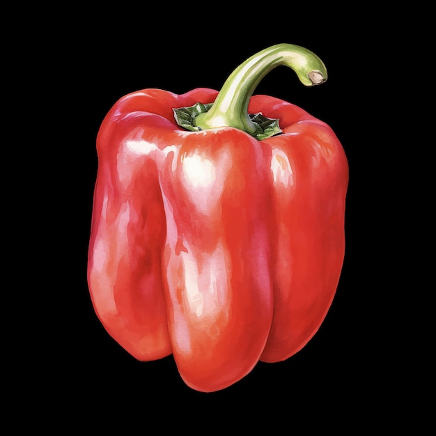Vibrant Red Bell Pepper with Glossy Skin and Stem | Jiffy Designs