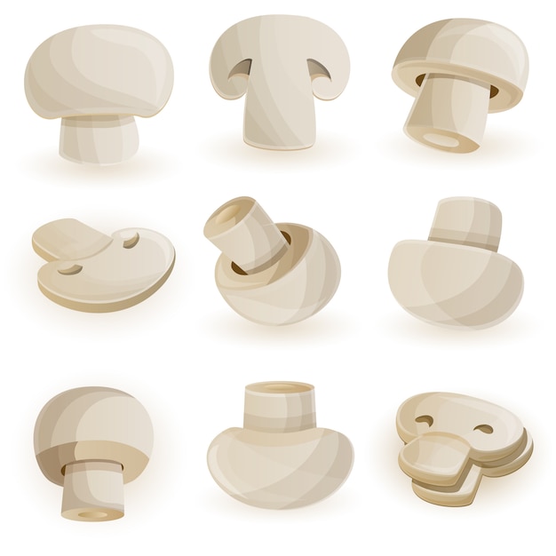 Assorted Wooden Mushroom Shapes for Crafting and Decorations | Jiffy ...