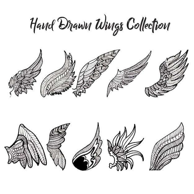Intricate Winged Designs: A Captivating Illustration Collection | Jiffy ...