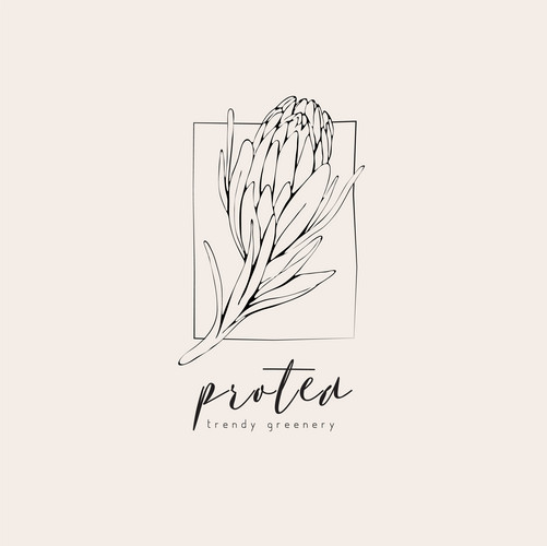 Protea Logo And Flowers. Hand Drawn Wedding Herb, Plant And Monogram ...