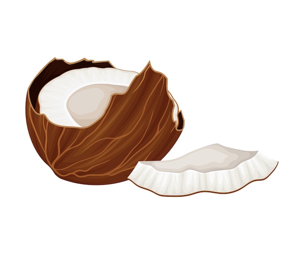 Delectable Coconut Shell Halves with Creamy Interior | Jiffy Designs