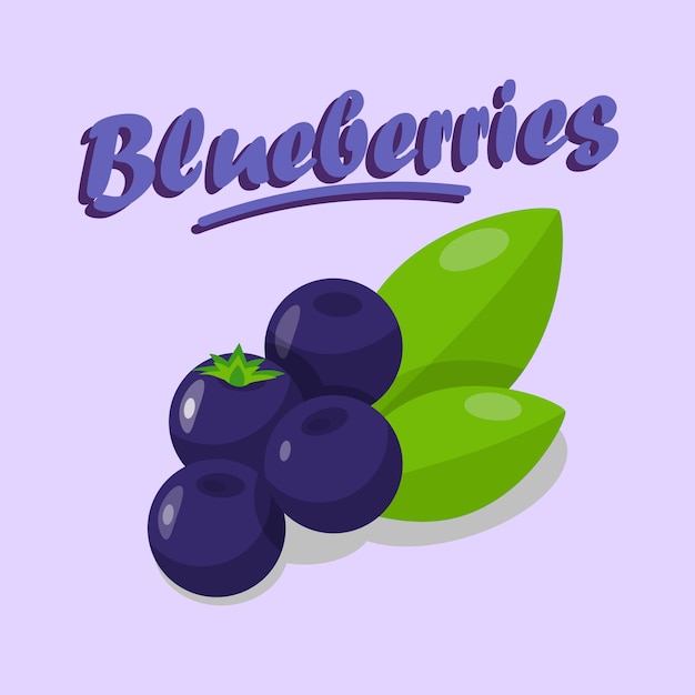 Blueberries with Leaves and Text Illustration | Jiffy Designs