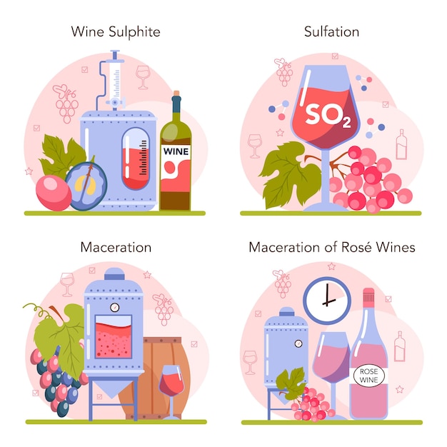 Comprehensive Wine Production Process Illustrated in Four Scenes ...