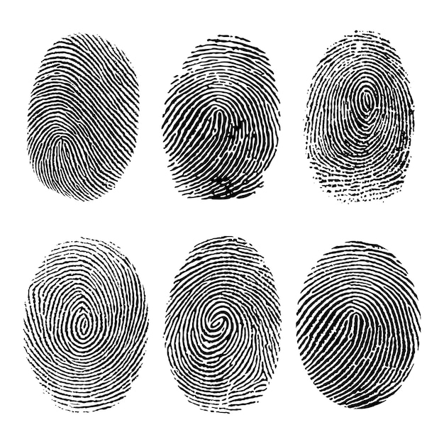 Unique Fingerprint Patterns in Striking Black and White | Jiffy Designs