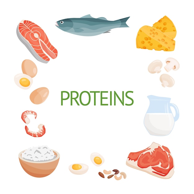 Diverse Protein Sources Illustrated in Vibrant Watercolor Style | Jiffy ...