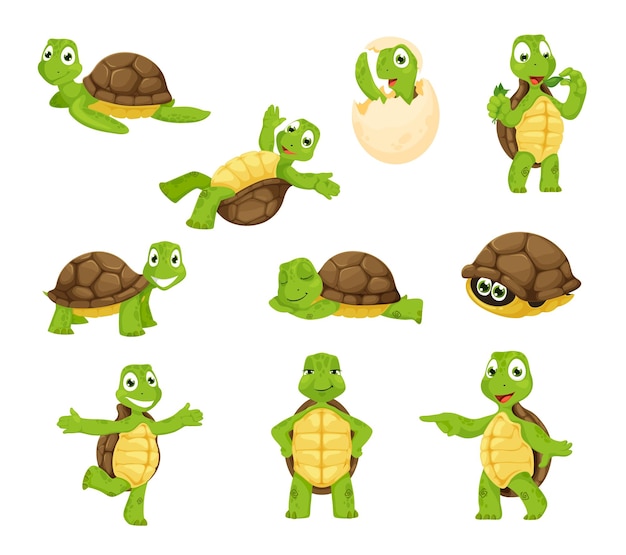 Adorable Collection of Whimsical Turtle Illustrations | Jiffy Designs