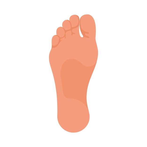 Detailed Illustration of a Vibrant Orange Foot | Jiffy Designs