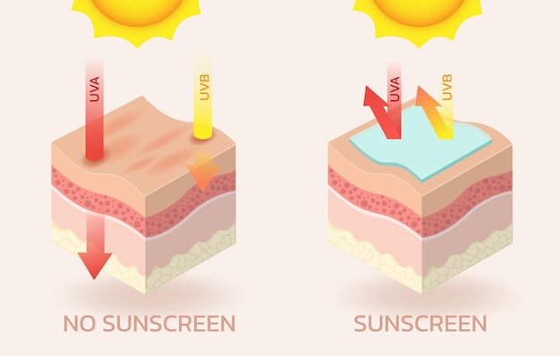 Sunscreen vs No Sunscreen: Protecting Skin from UV Rays | Jiffy Designs