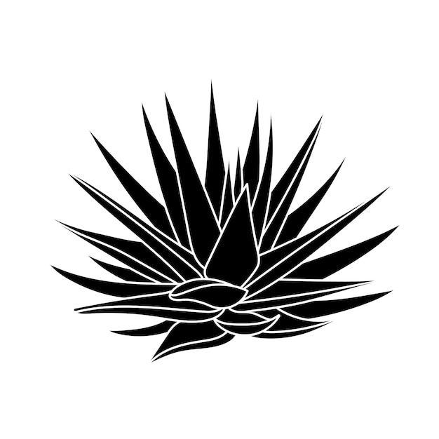Bold Black and White Agave Plant Illustration | Jiffy Designs