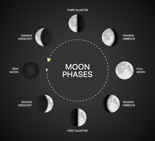 Captivating Lunar Cycle: Phases of the Moon Depicted | Jiffy Designs