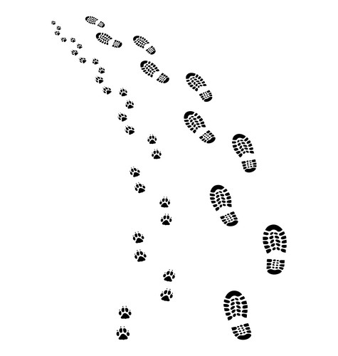 Footprints Of Man And Dog, Turn Left, Vector | Jiffy Designs