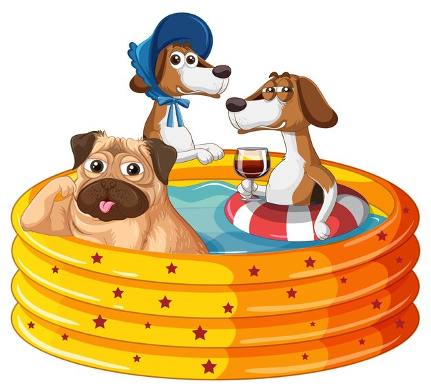 Playful Pups Splashing in Inflatable Pool | Jiffy Designs