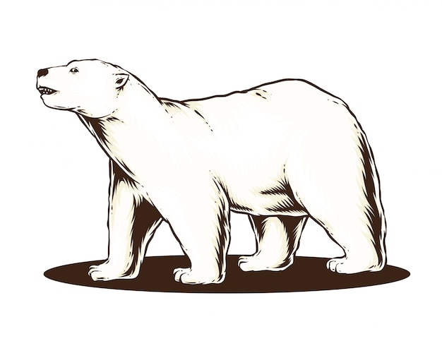 Stylized Polar Bear Illustration in Earthy Tones | Jiffy Designs