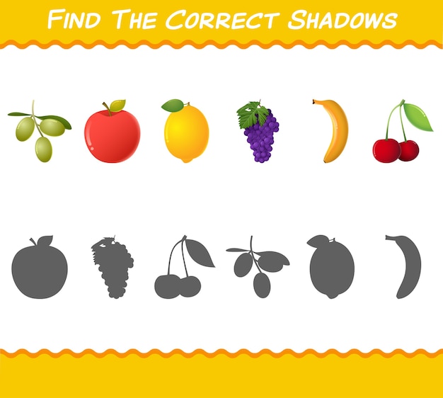 Vibrant Fruit Shadows: A Playful Matching Game | Jiffy Designs