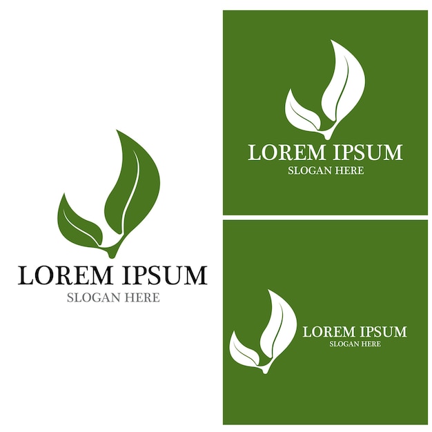 Versatile Leaf-Inspired Logo Collection for Diverse Branding | Jiffy ...