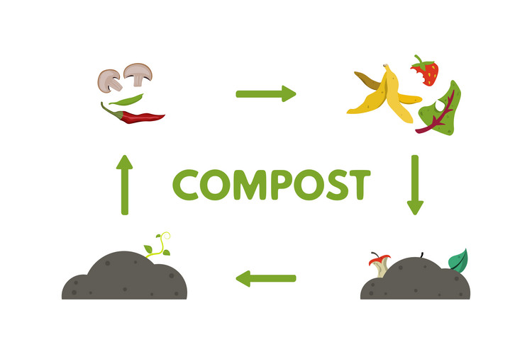 The Organic Recycle Compost Icons. Food Waste Cycle Vector Illustration ...