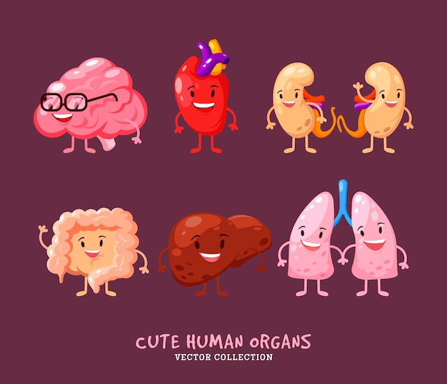 Playful Personified Organs: A Charming Anatomical Illustration | Jiffy ...