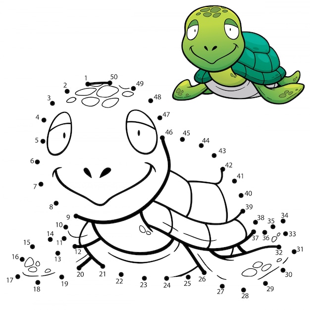 Cheerful Green Sea Turtle Dot-to-Dot Illustration | Jiffy Designs