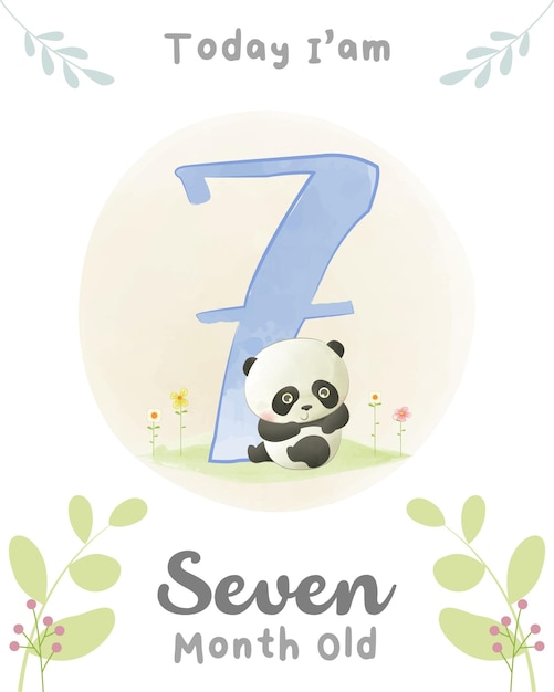 Adorable Panda Celebrates Seven Months of Growth | Jiffy Designs